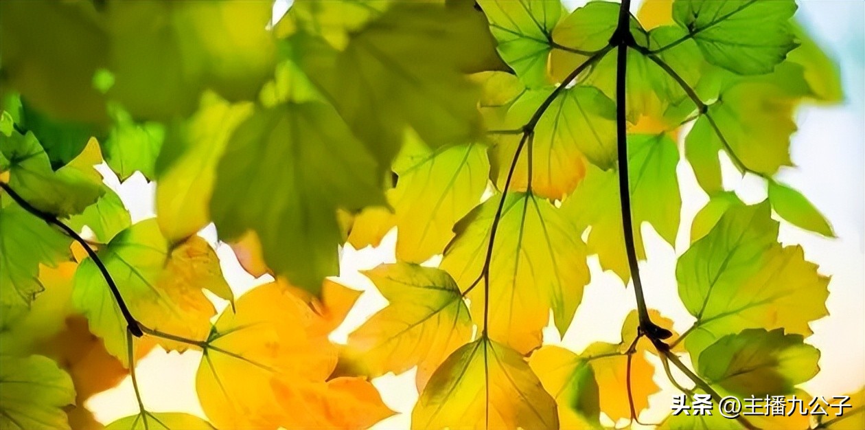 After the age of 50, stop doing these 3 things to your children ...