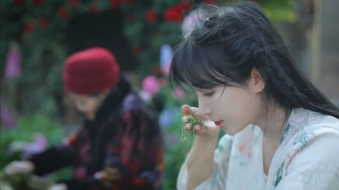 Li Ziqi and Wei Nian parted ways, has the world changed? - iMedia