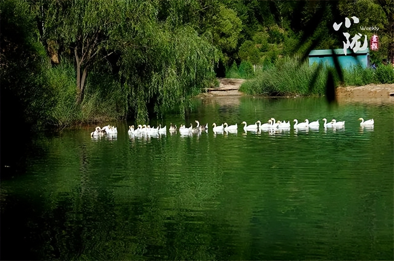 Qingyang Zhenyuan: Picturesque autumn scenery in loess and colorful ...