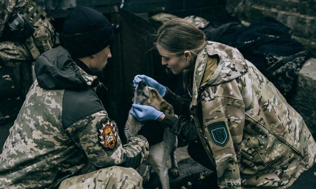 The Ukrainian army suffered heavy losses: Ukraine suffered 960,000 ...