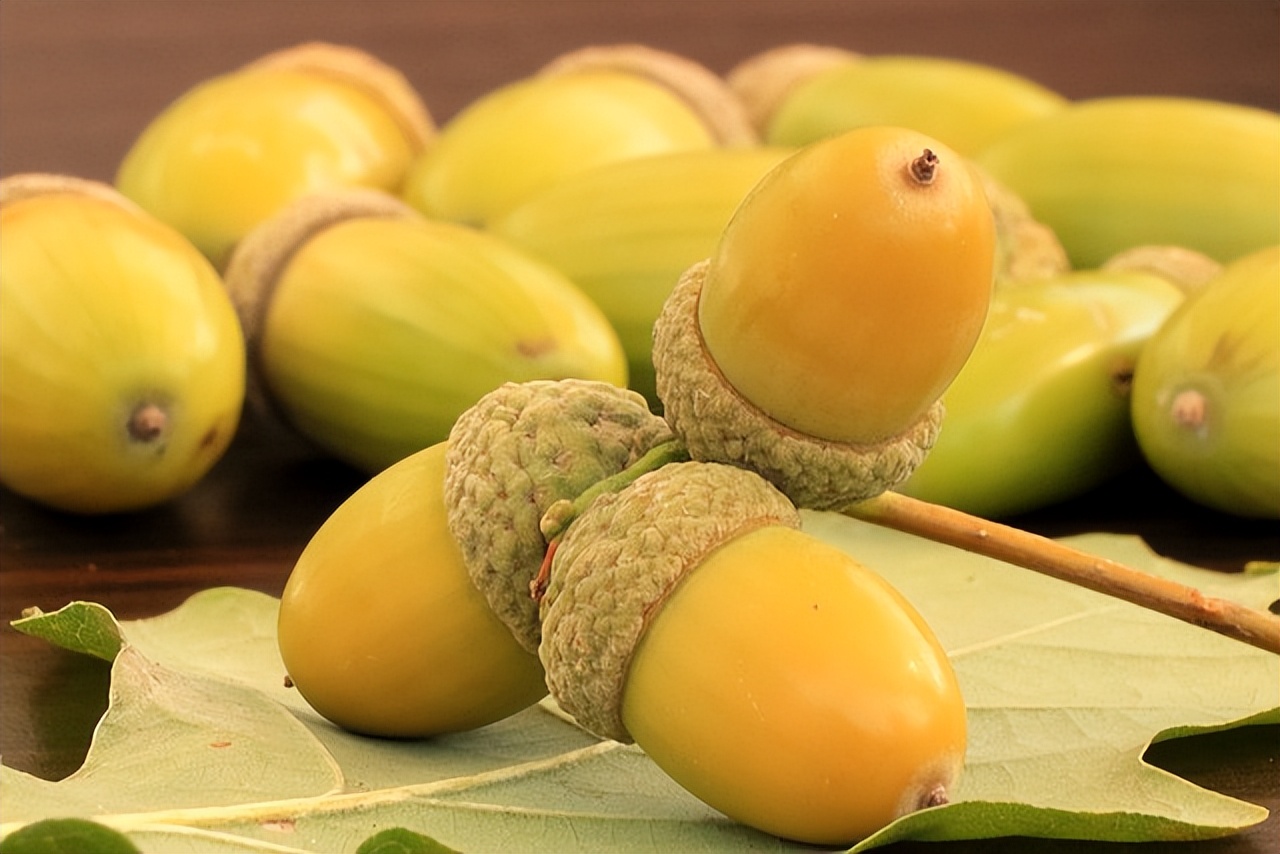 There are 10 kinds of weird fruits, each of which is very unusual! - iNEWS