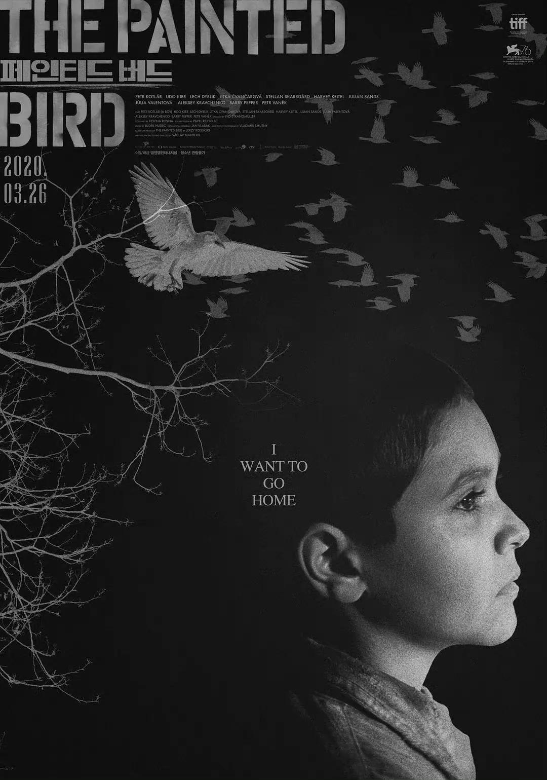 movie poster - iMedia