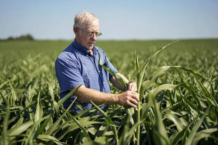 In the global food self-sufficiency ranking, the United States ranks ...