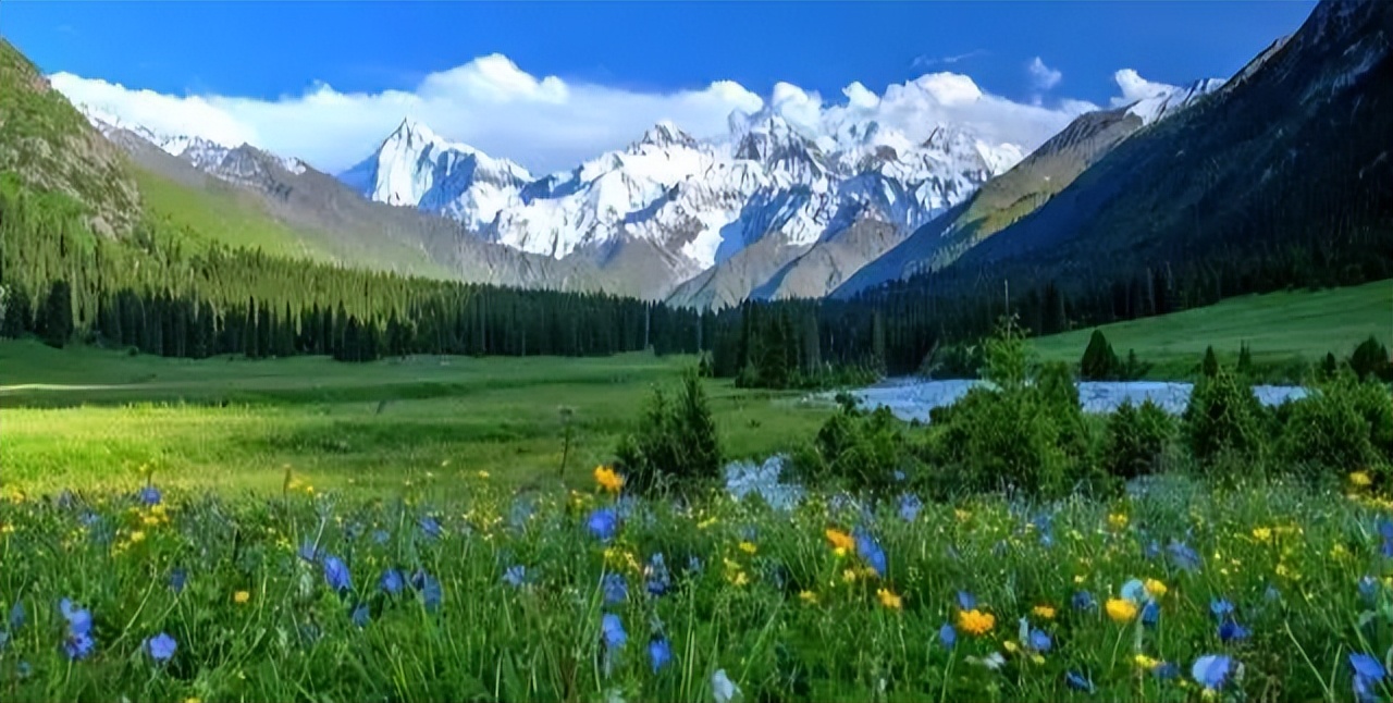 The Great Han Empire——The Great Han united with Wusun, and the Xiongnu ...