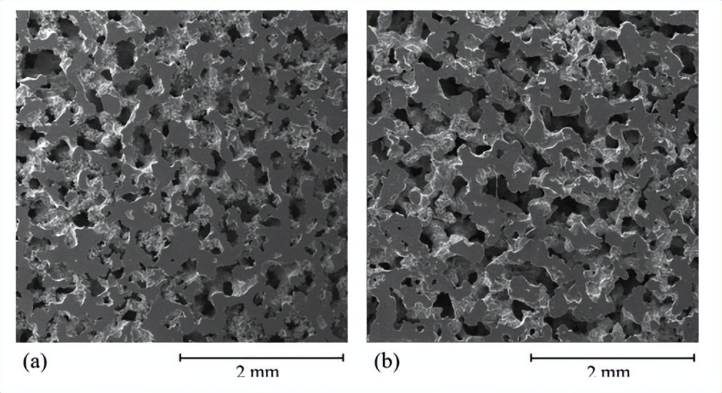 Porous NiTi alloy prepared by self-propagating high-temperature ...
