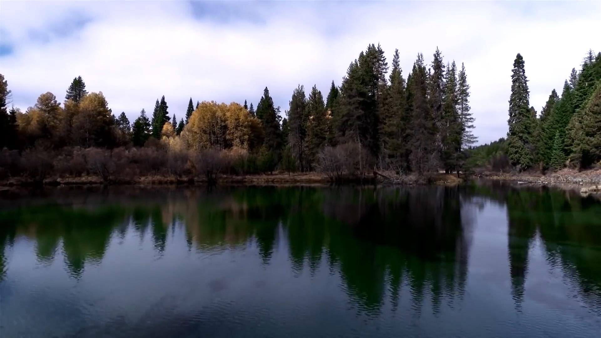 A mysterious "water monster" was found in a Canadian lake, and strange ...
