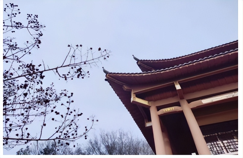 [Tongcheng on the tip of the tongue] Talking about vegetable moss on a ...