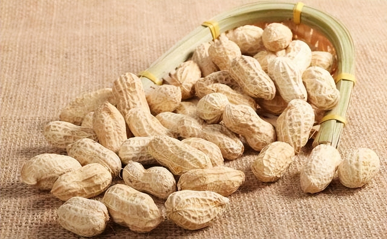 What benefits can you gain by eating a few peanuts on an empty stomach ...