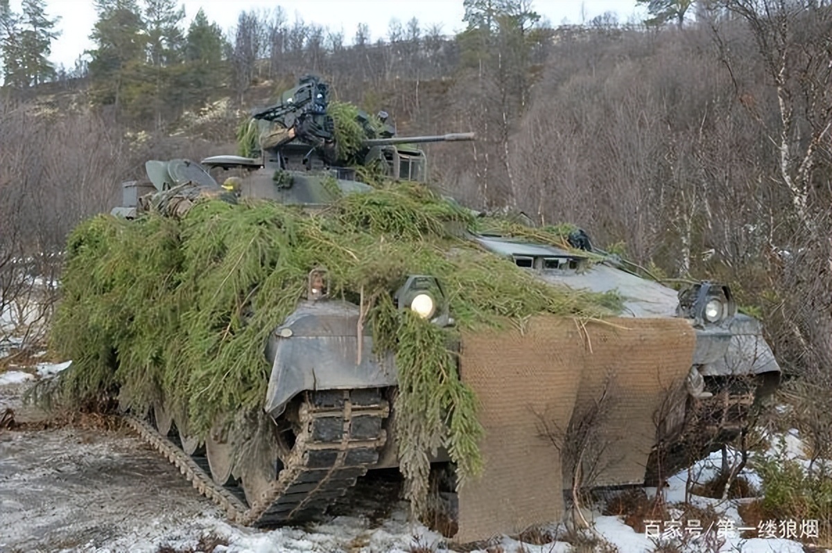 Embarrassing! Germany's "Weasel" tank aided Ukraine got stuck on the ...