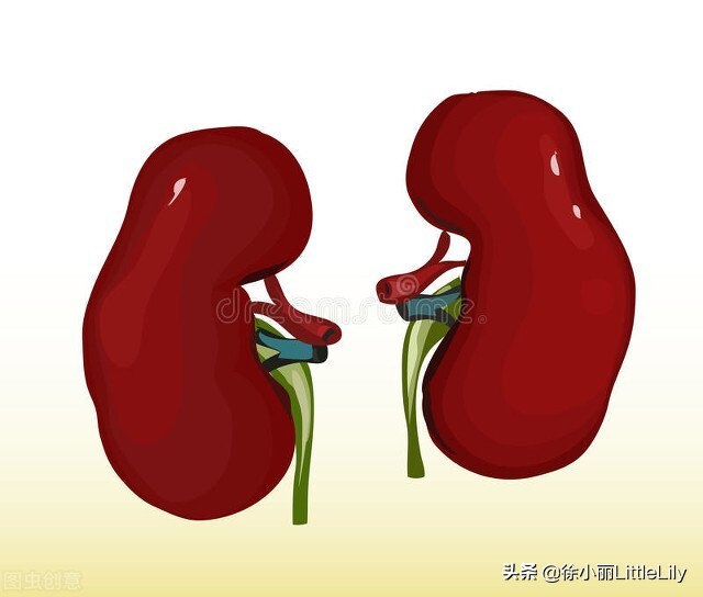 Li Ke: A preliminary study on uremia - iNEWS