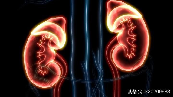 How does traditional Chinese medicine treat kidney deficiency - iMedia