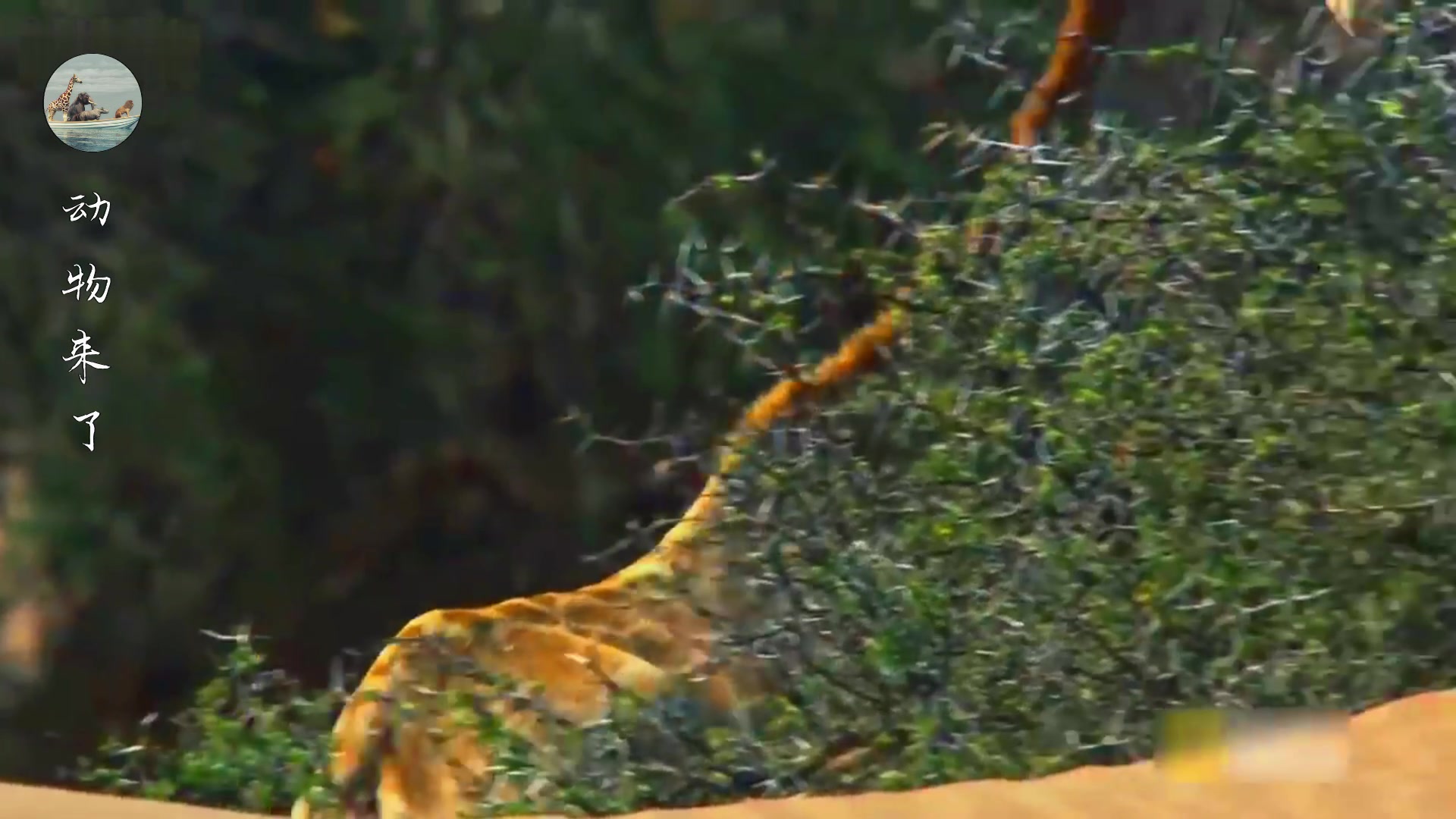 The giraffe's neck was broken and turned into a Z shape, and the neck ...