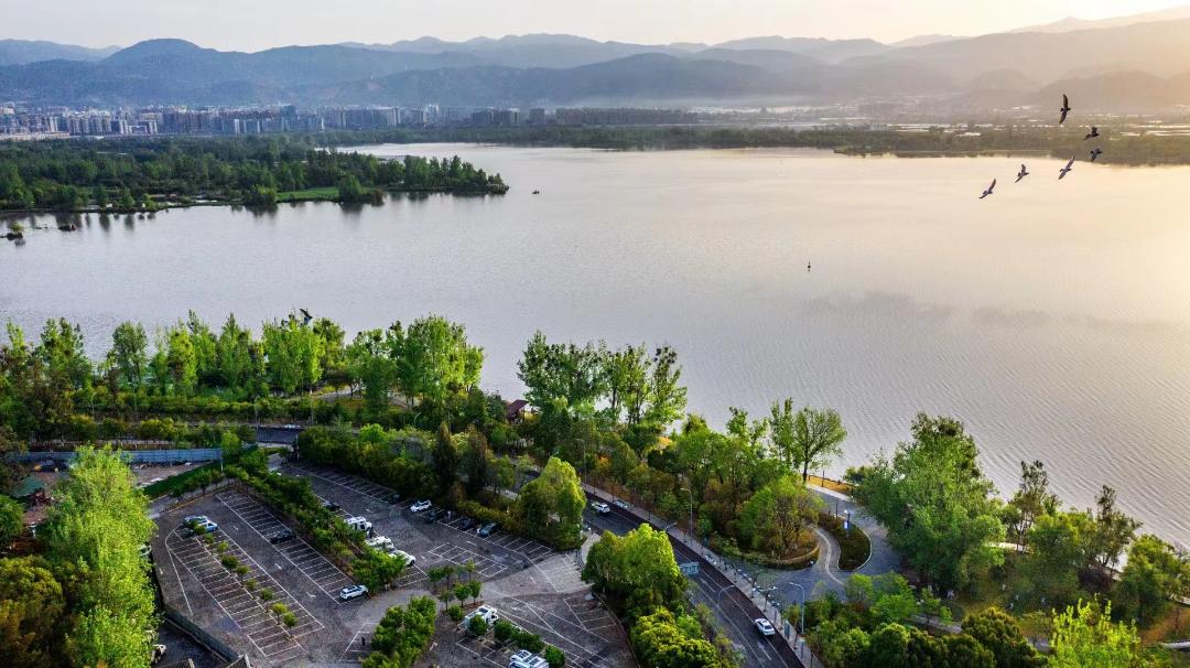 beautiful! The wind and warm Qionghai Wetland in May wrote the early ...