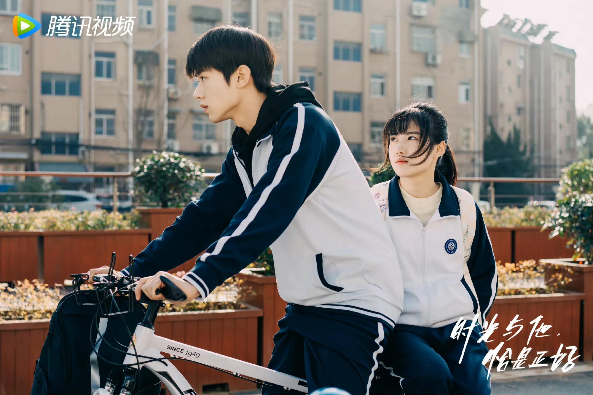 Have you watched three super good-looking TV series recently? - iNEWS