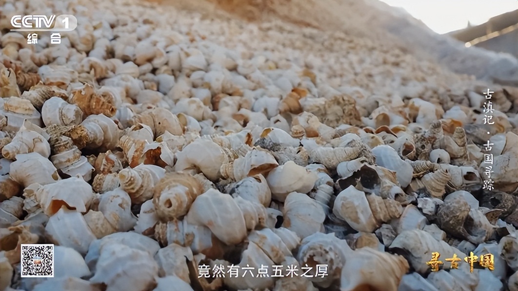 Great Archaeological Discovery! The leftover snail shells of the ...