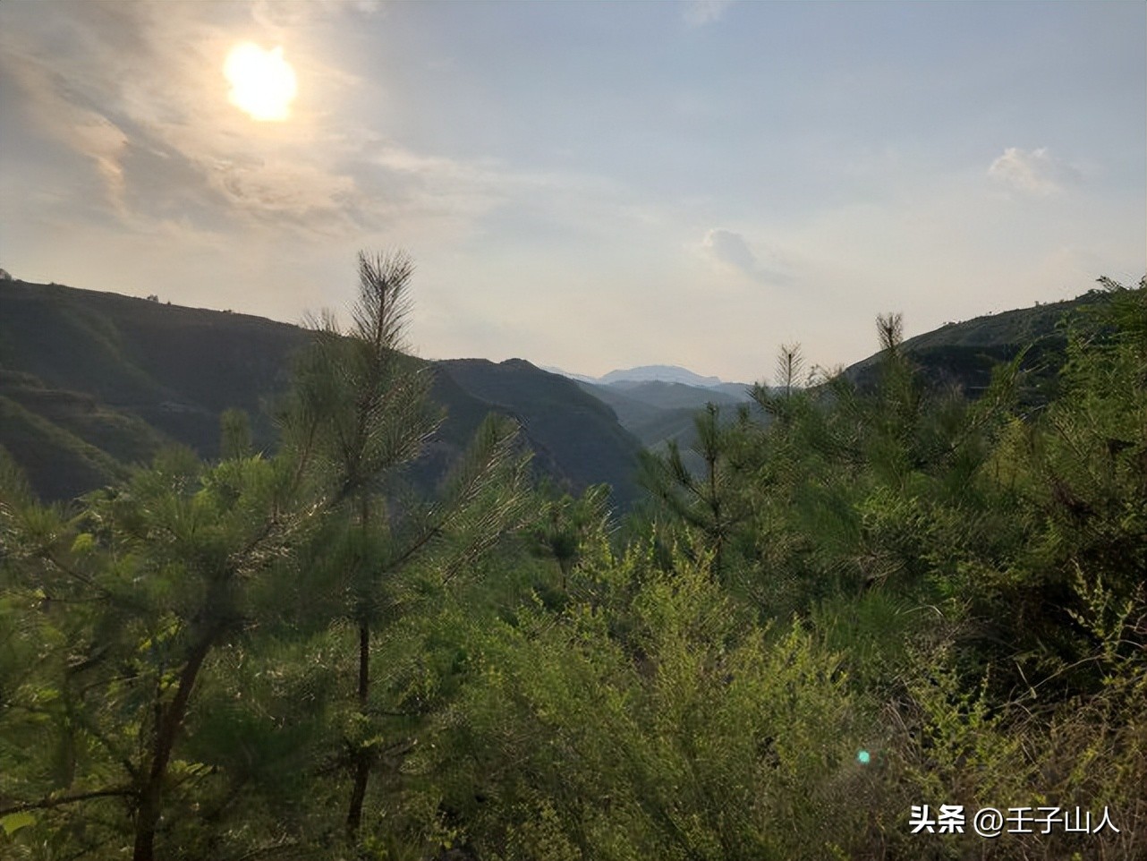 The beginning of autumn is approaching. As the saying goes, "the ...