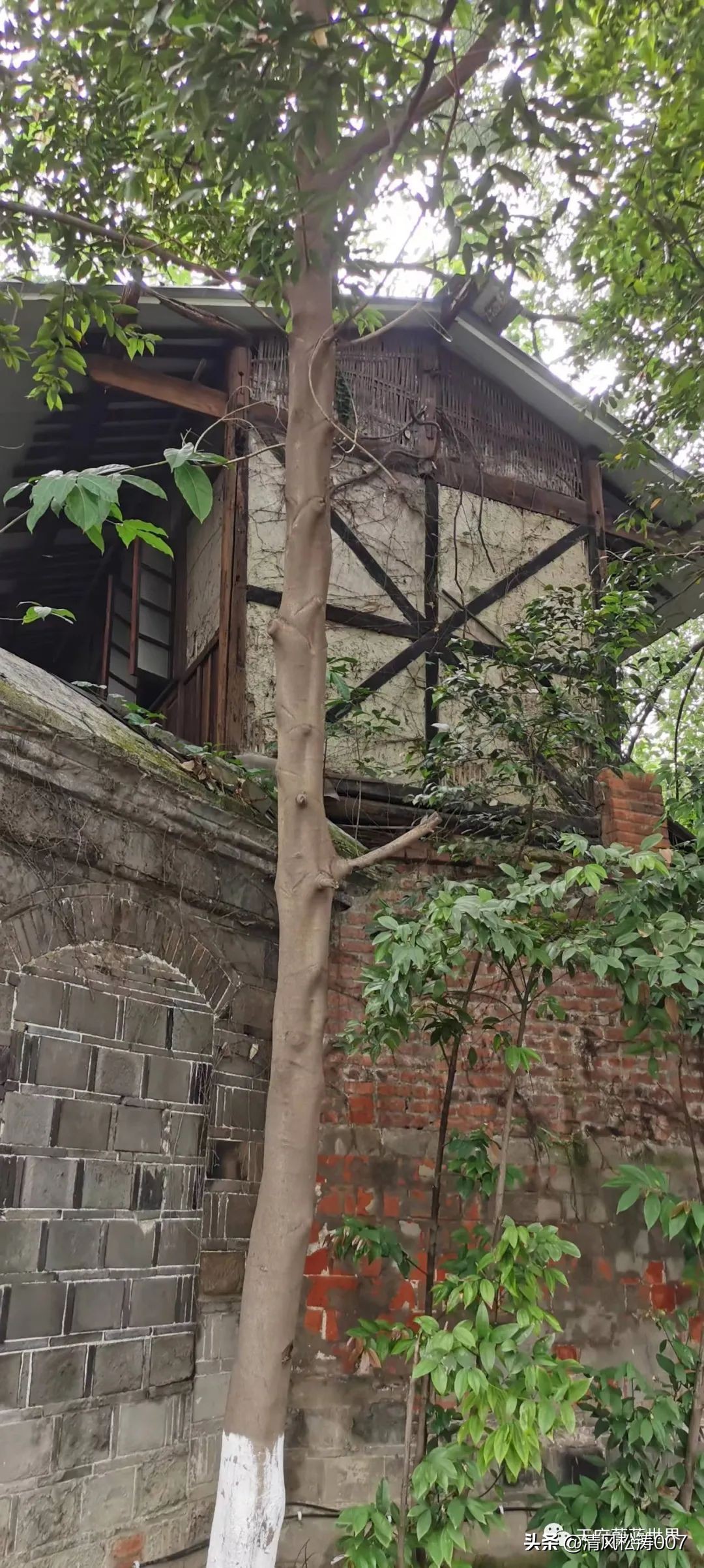 Do you know where is the only two "Yuewu Mu Temple" in Sichuan? - iNEWS