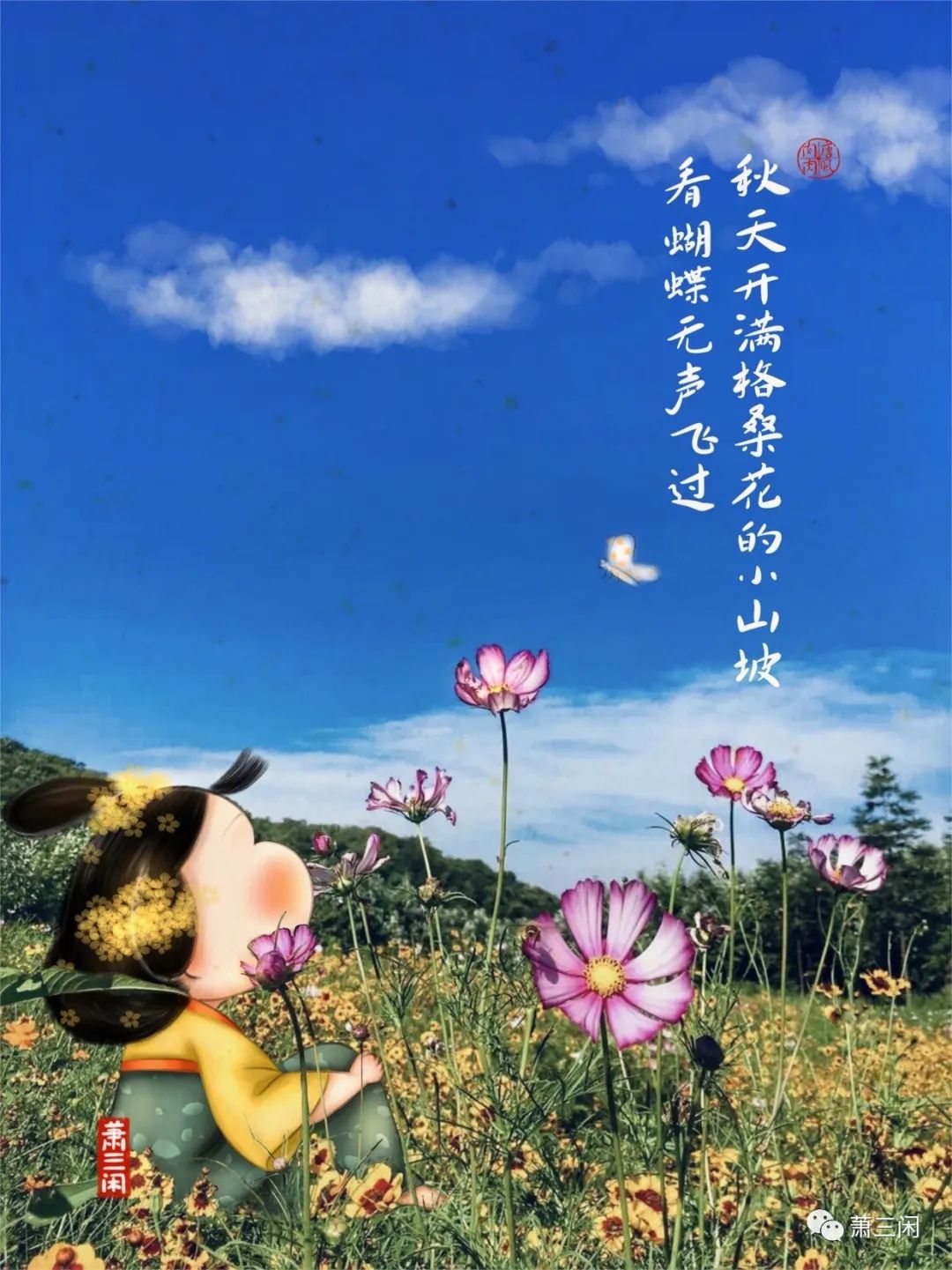 In autumn, the hillside full of Gesang flowers, watching butterflies ...