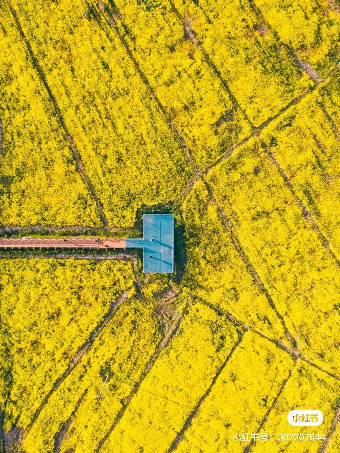 This spring, you must go to these 5 wetlands in Kunming to do these 5 ...