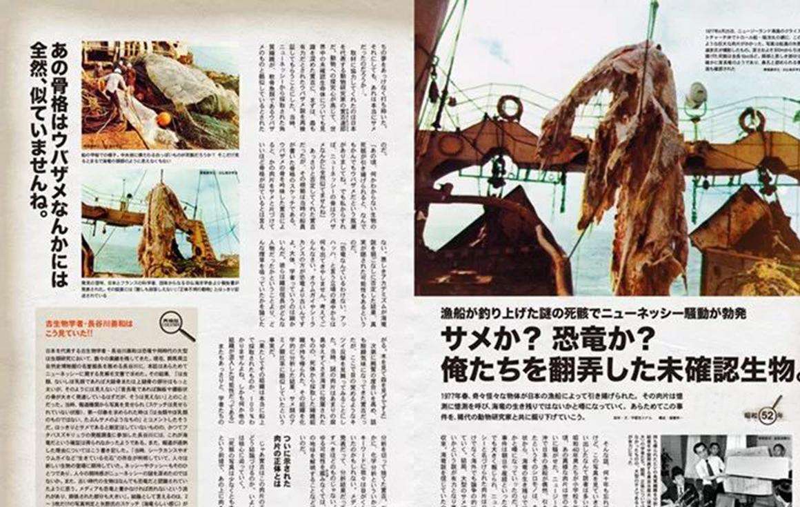 Japanese fishing boat catches mysterious sea monster, huge and dinosaur ...