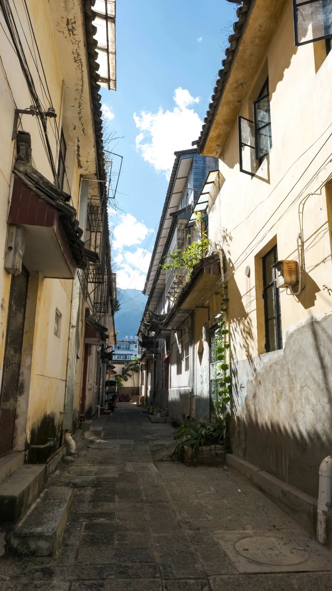 Dali's Treasure Alley is waiting for you to discover - Crescent Moon ...