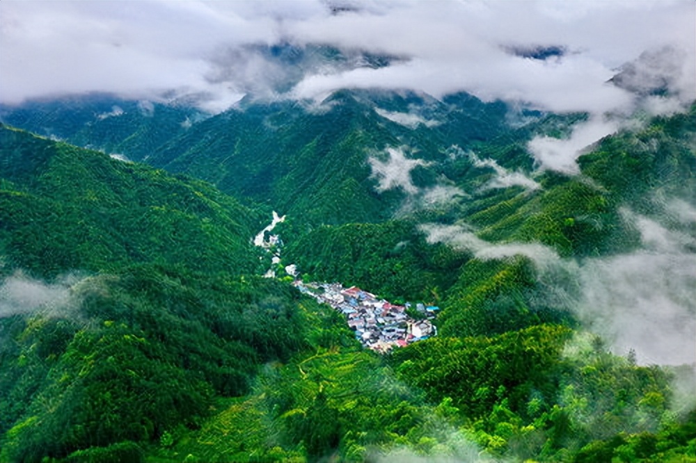 Regional distribution of subtropical evergreen broad-leaved forest - iNEWS