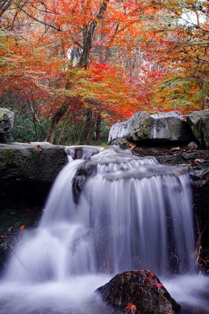 What is the name of the song "The Wind, Clear Water, Long Flow"? - iNEWS