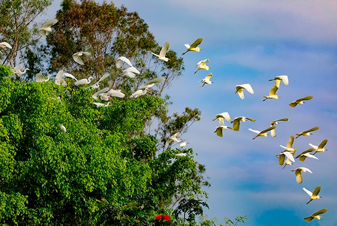 10 ancient poems that calm the mind can calm the turbulent soul and ...