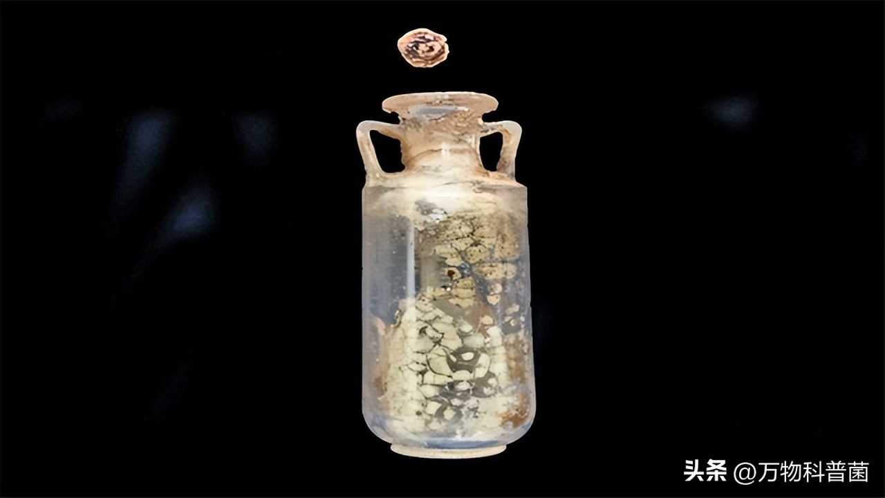 Amazing find in ancient Roman catacombs: 2,000-year-old sealed perfume ...
