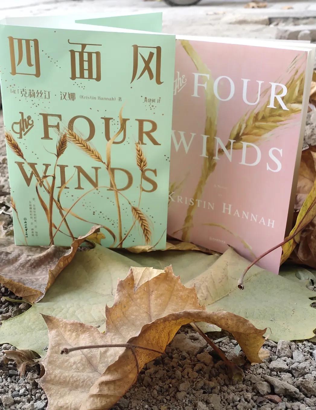 "Four-faced Wind" When life leaks everywhere, I still have the courage ...