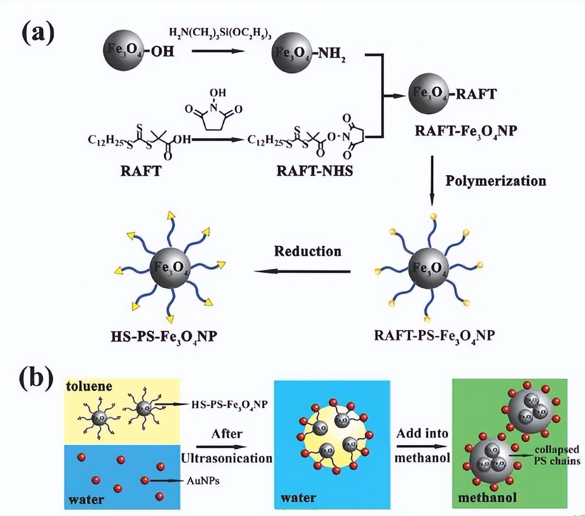 supramolecular polymer brushes - iNEWS