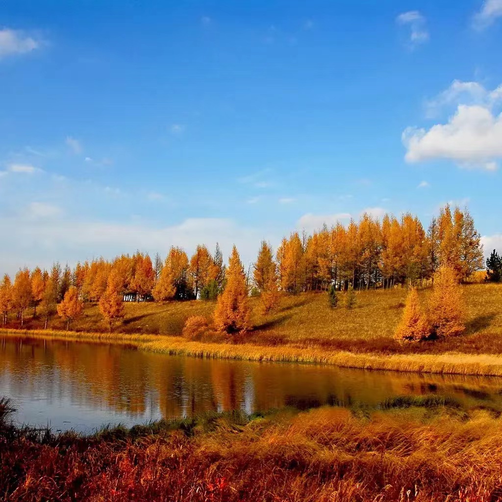 What does the autumn wind bring to the world, read a few poems about ...