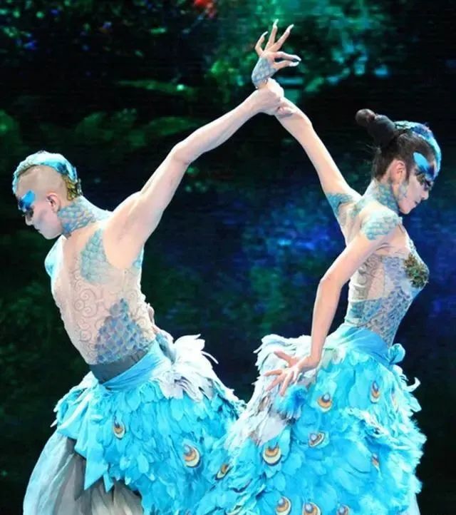 "Prince Peacock" fell from a building and died, Yang Liping posted a ...