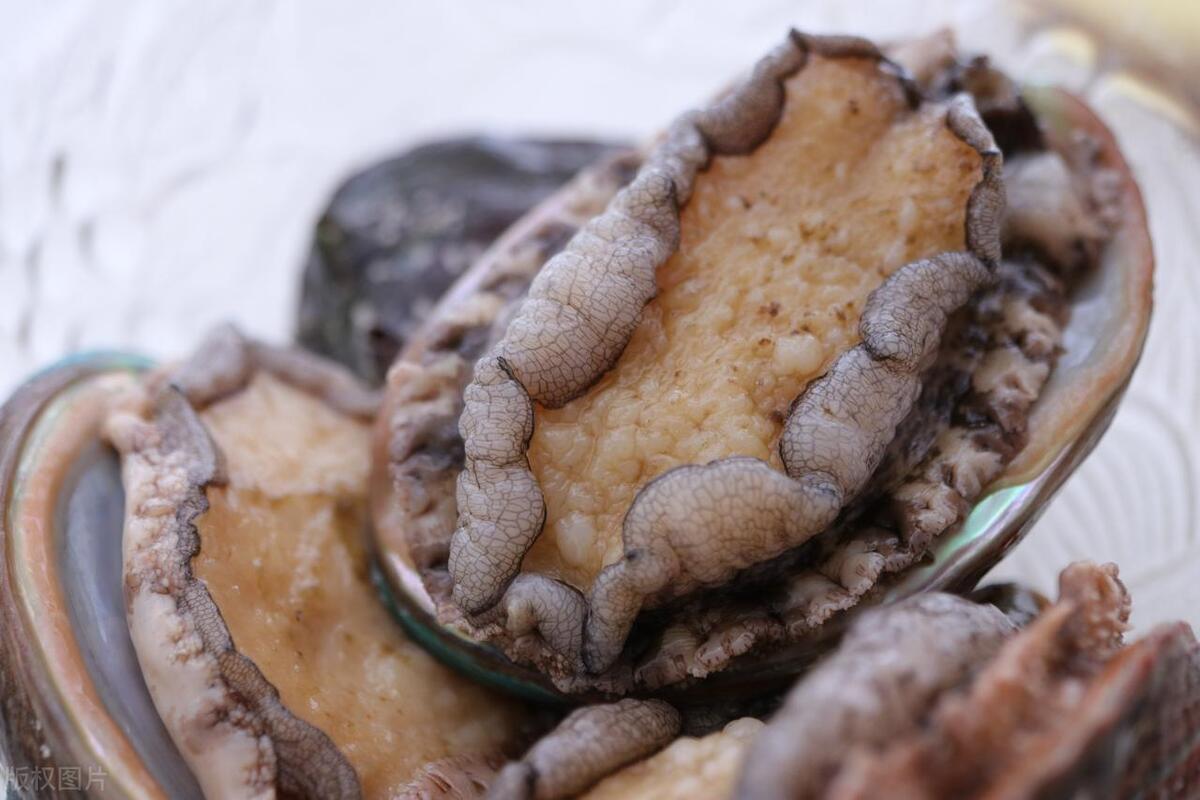 South Australian abalone: the perfect combination of deliciousness and ...