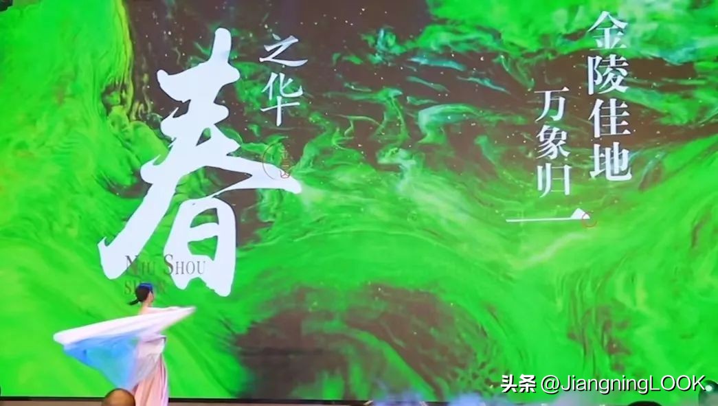 The most beautiful Nanjing, famous celebrities gather at Niu Shou ...