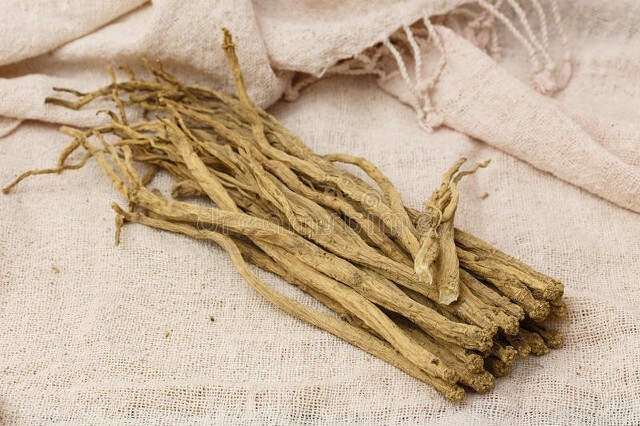 Where did the name "Party Ginseng" come from? - iNEWS