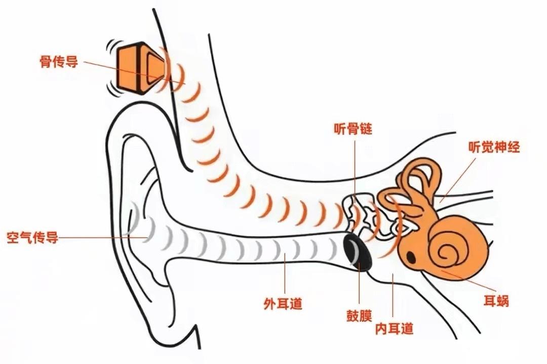 What is the principle of bone conduction headphones?The difference ...