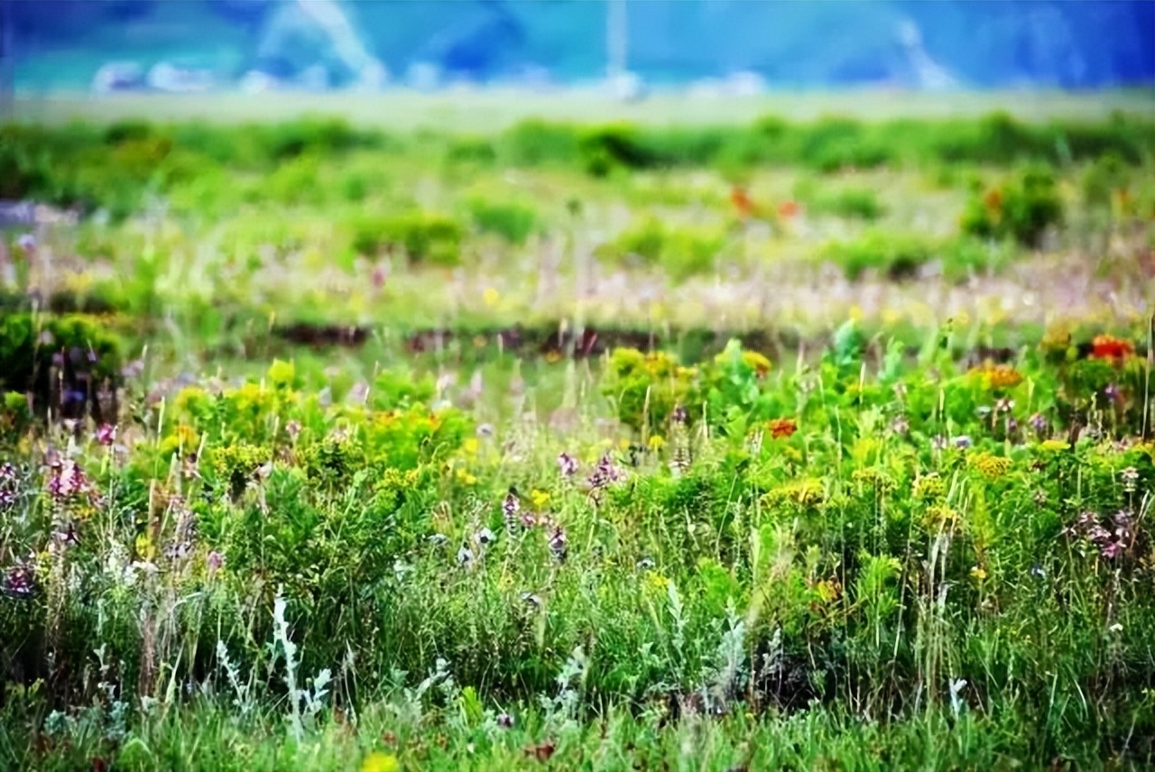 Beautiful scenery and cool!These 10 most energetic places in summer, do ...