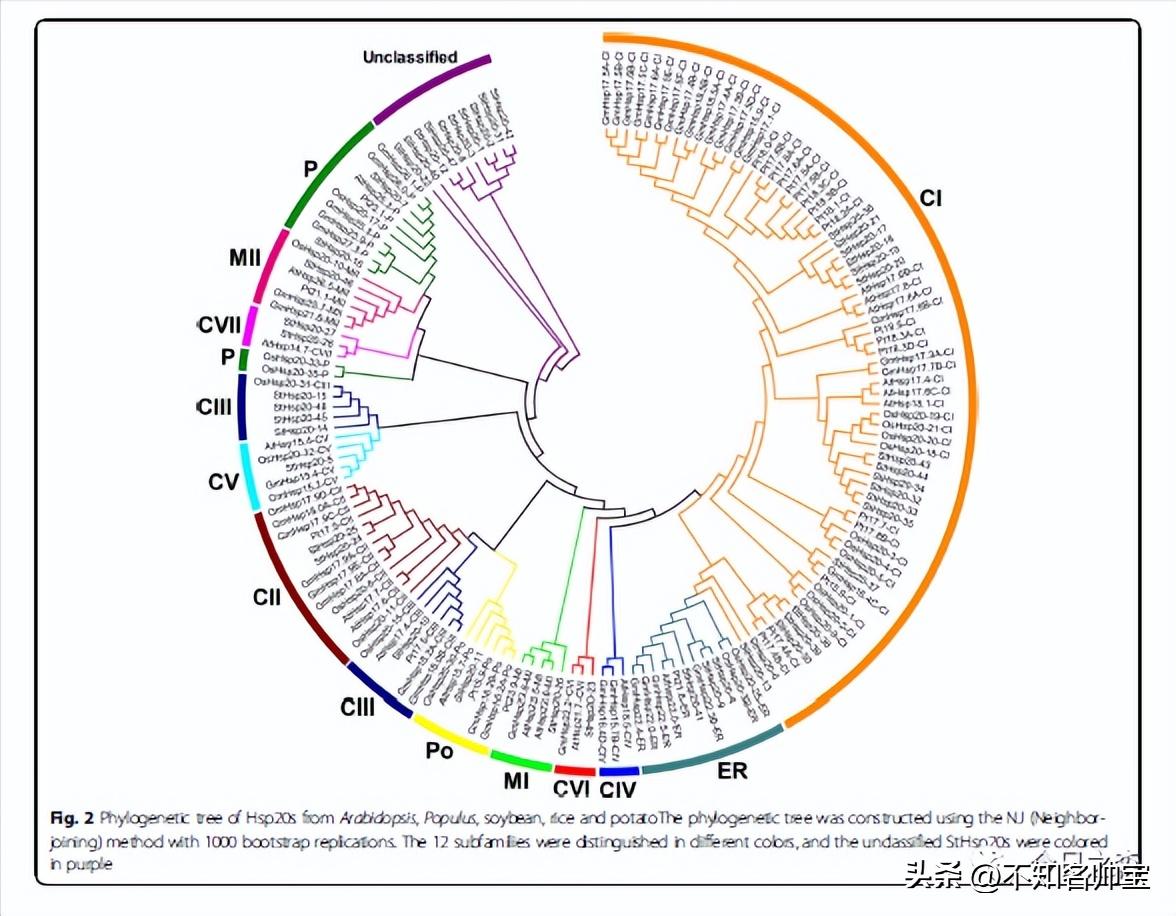 Growth Hormone Gene Family and Its Evolution - iMedia