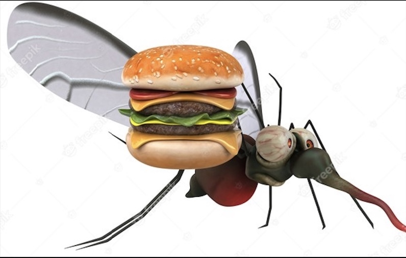 In foreign countries, mosquitoes are made into hamburger patties ...