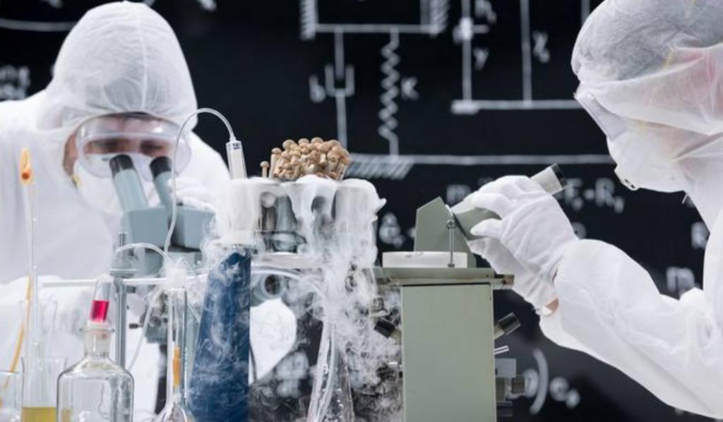 Scientists inject bacteria 3.5 million years ago with female models for ...