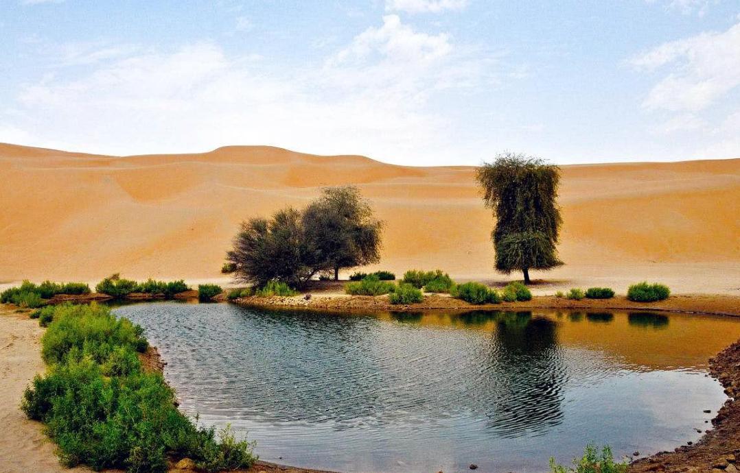 Turning a desert into an oasis is not only an economic benefit, but ...