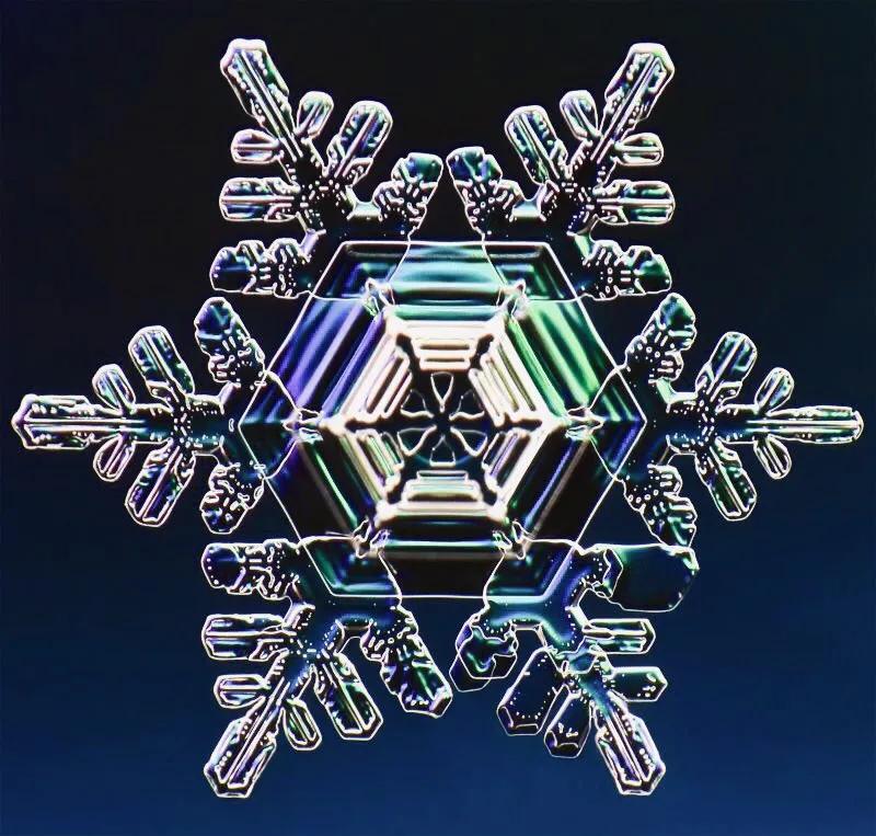 Tsk amazing!Snowflakes under the microscope - iNEWS