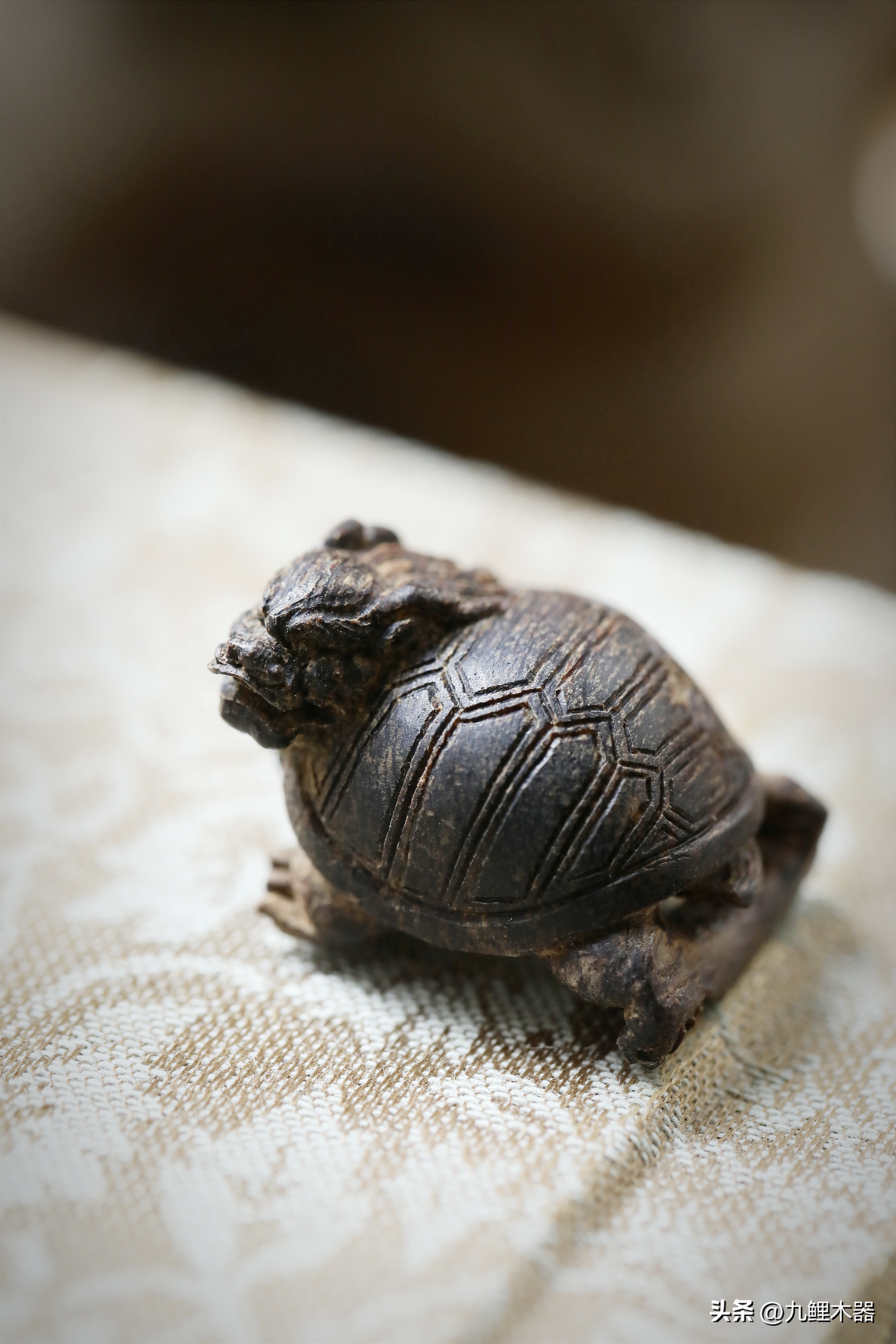Brunei Agarwood Dragon Turtle - iNEWS