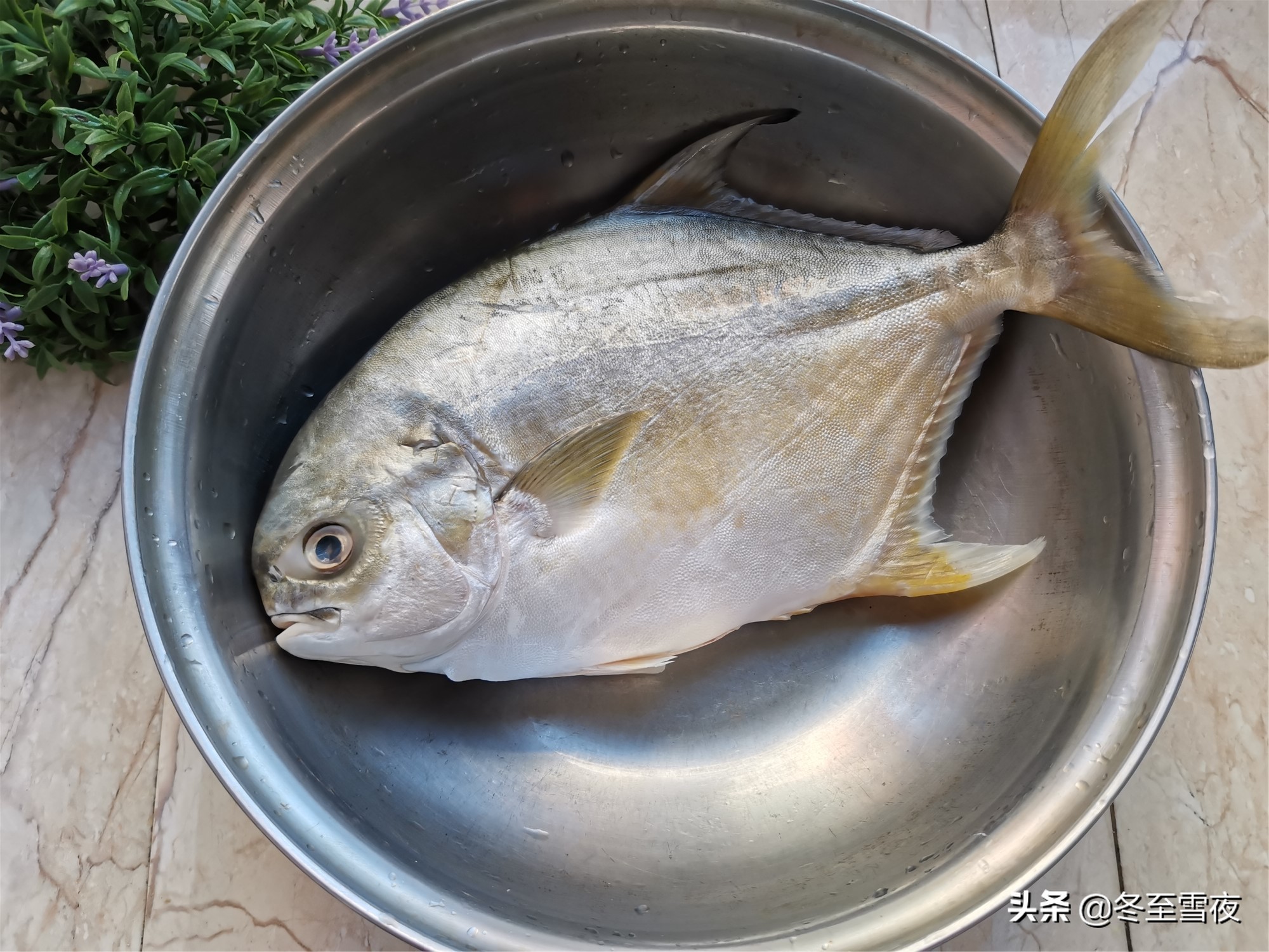 How to make braised golden pomfret delicious?Teach you some tricks, the ...