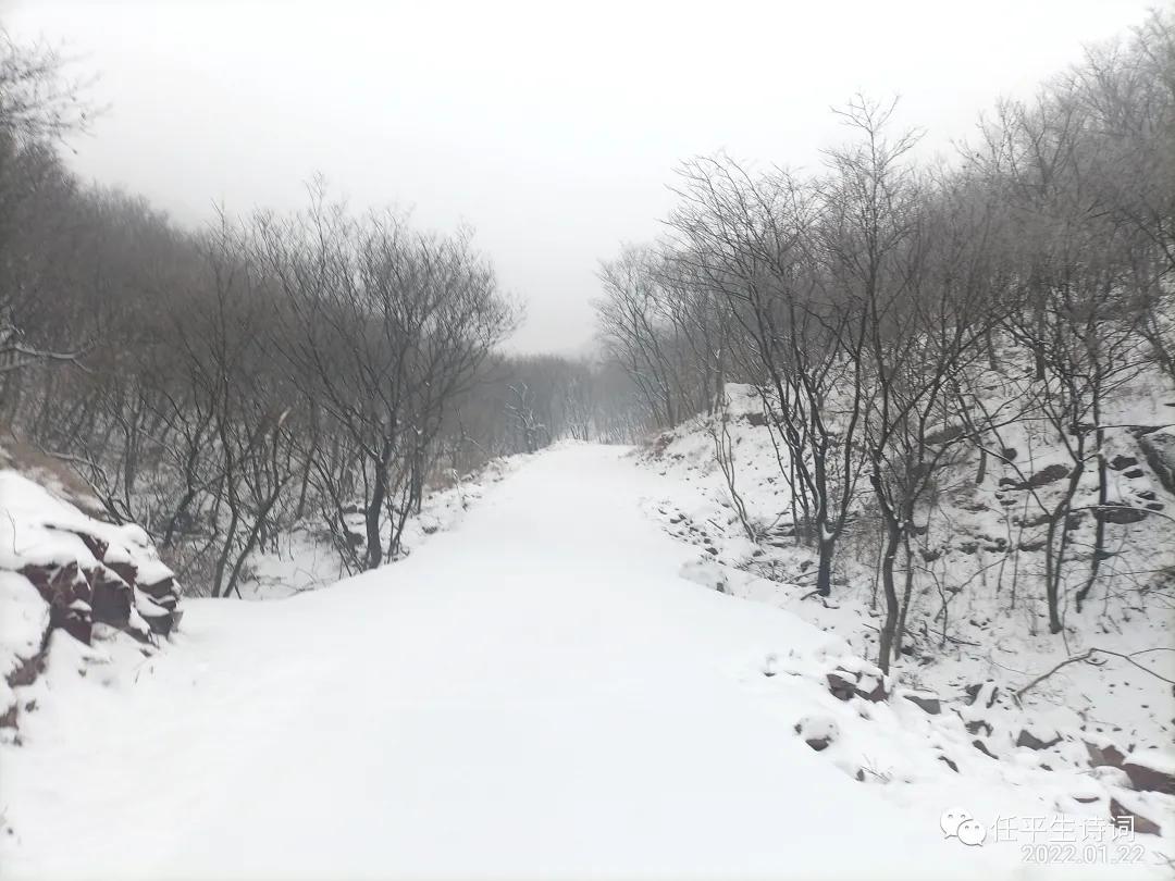 "Column" Ren Pingsheng's work: "Night Tour of the Palace, Snow" (China ...