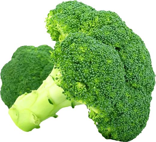 What Are Healthy Eating Habits These Habits Must Be Cultivated INEWS what-are-healthy-eating-habits-these-habits-must-be-cultivated-inews
