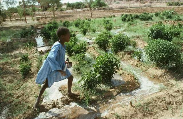 Niger: A country so poor that it can only eat meat, 20 million people ...