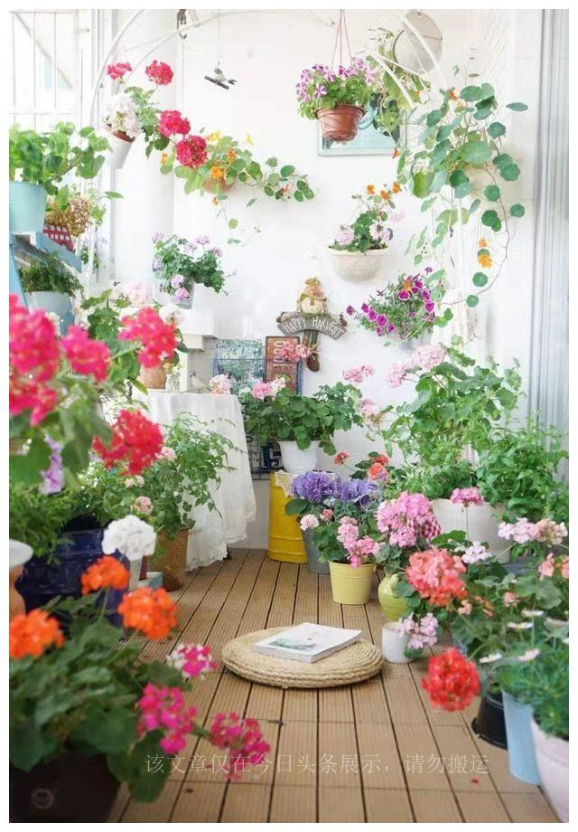 6 kinds of "flower machines", one pot blooms for half a year, and 2 ...