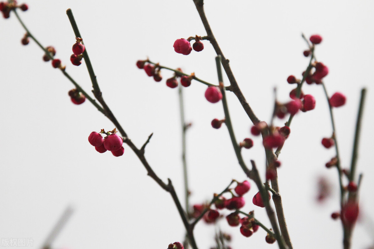 Jiang Xun Talks about Tang Poems——Reading Tang Poems from Another Angle ...